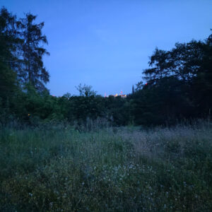 Nubia Focus Pro 5G im Test: High-end-Fotos zum Spitzenpreis? - Techsonar